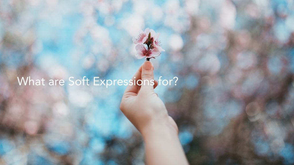 What are Soft Expressions for? - LingualBox Blog